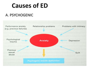 erectile dysfunction - patient guide | PPT