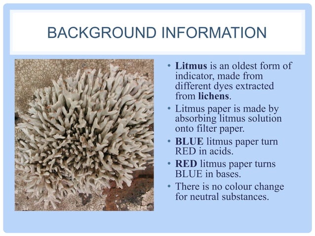 Prac - Using litmus | PDF | Chemistry | Science