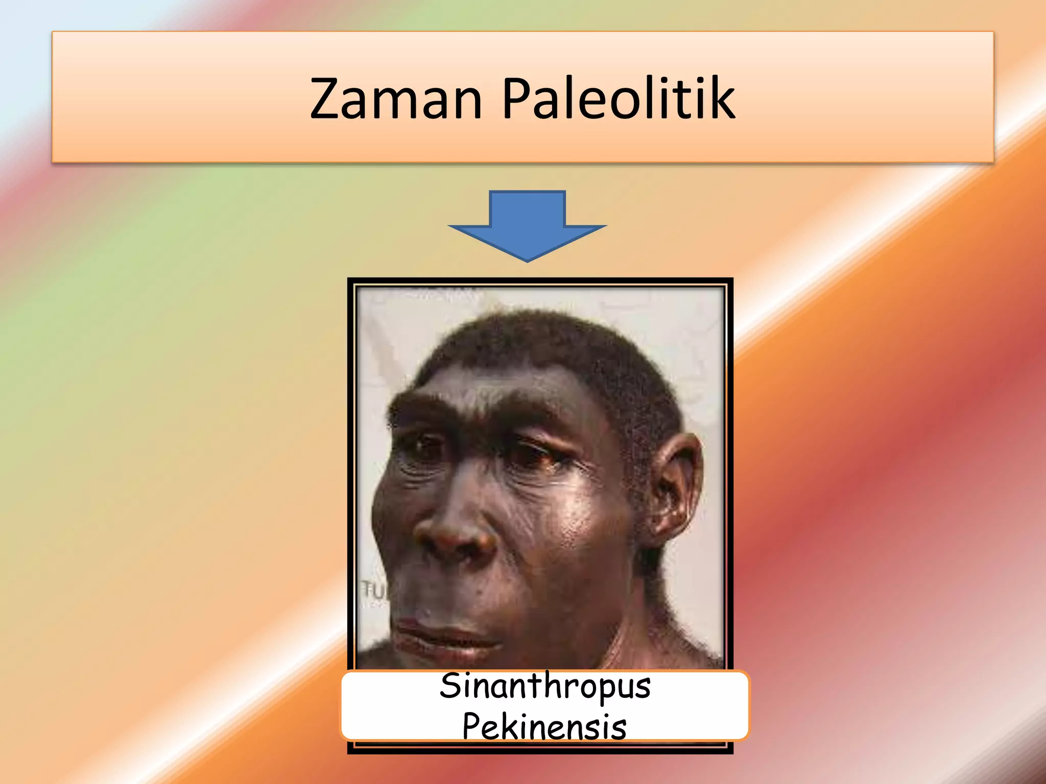 Pradaban manusia china | PPTX