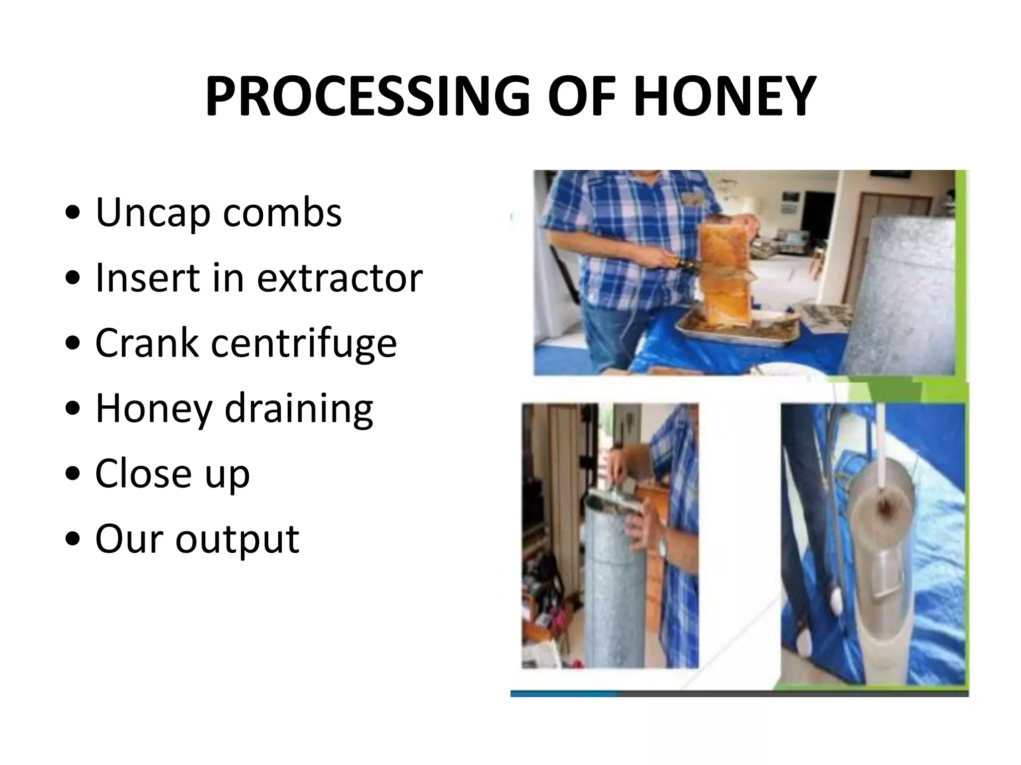 Honey Production & Processing | PPTX