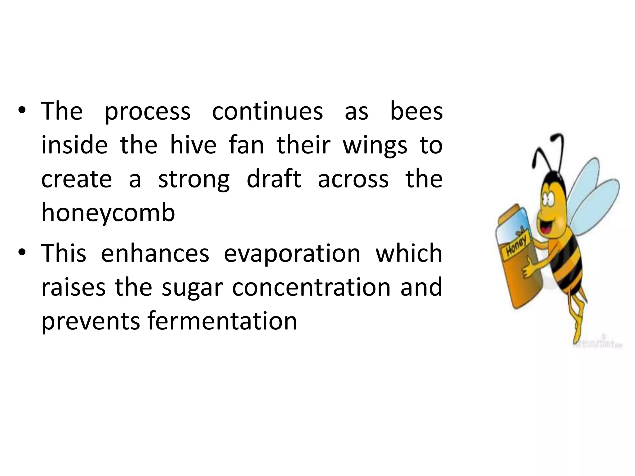 Honey Production & Processing | PPTX
