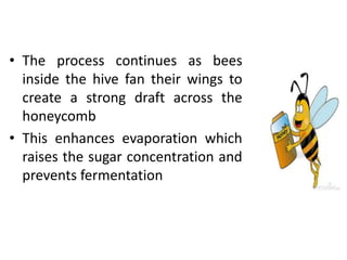 Honey Production & Processing | PPTX