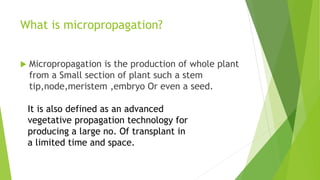 Micropragation | PDF | Gardening | Home & Garden