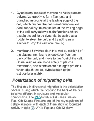 Cell migration | PDF
