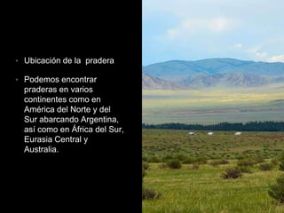 Pradera | PPT