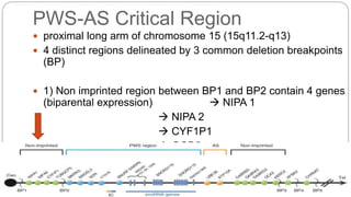 Prader Willi syndrome and Genetics and differentials | PPTX
