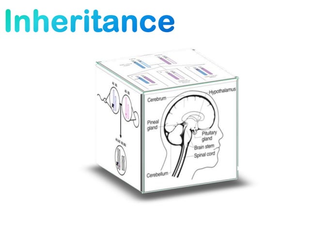 Prader willis Syndrome | PPTX