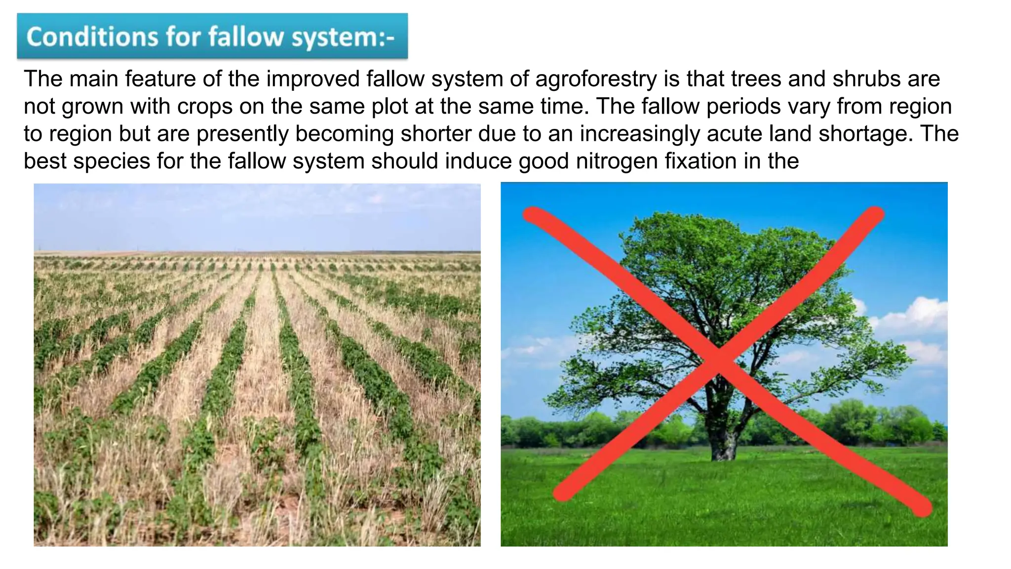 Pradhan mantri fasal Bima Yojana agriculture.pptx