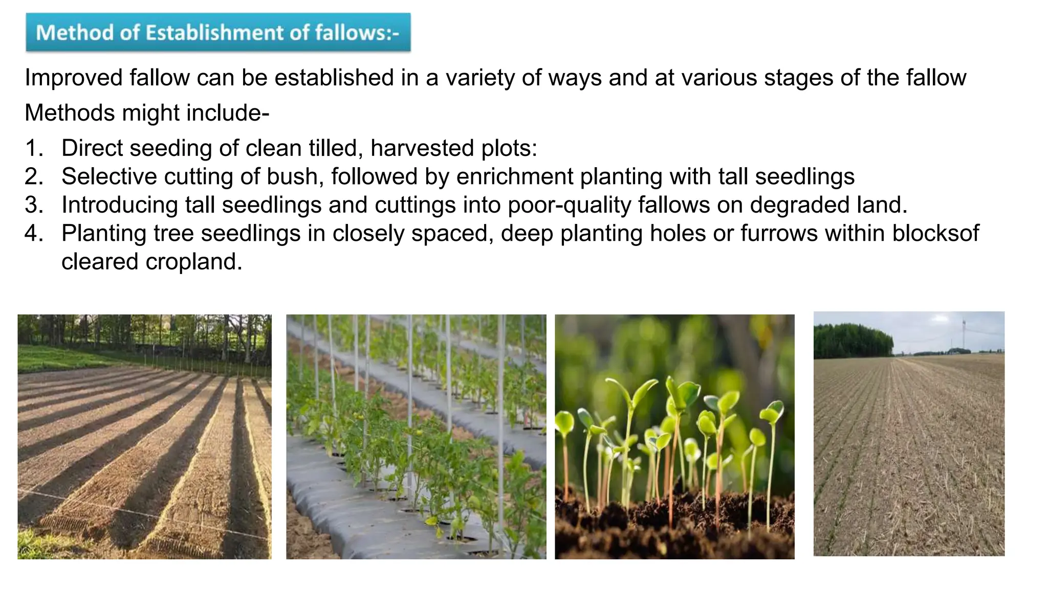 Pradhan mantri fasal Bima Yojana agriculture.pptx