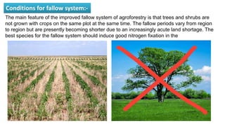 Pradhan mantri fasal Bima Yojana agriculture.pptx