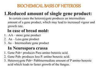 heterosis breeding.pptx