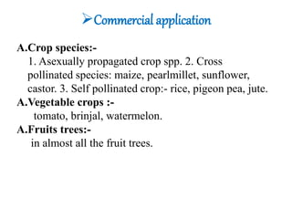 heterosis breeding.pptx