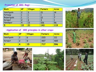 Pragati odisha | PPTX | Agriculture | Industries