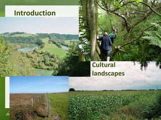 Cultural Landscape Examples