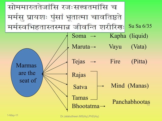 Pragmatic concept of marma | PPTX