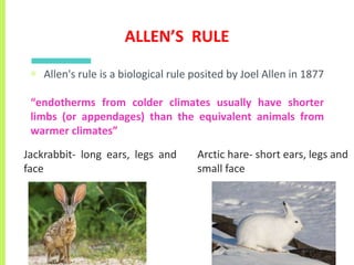 Rules of thermoregulation and heat stress | PPTX