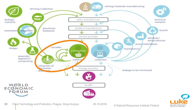 Balanced and Healthy Production Ecosystems as a Source of Balanced and ...