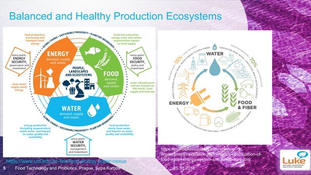 Balanced and Healthy Production Ecosystems as a Source of Balanced and ...