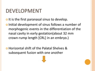 Maxillary sinus | PPTX