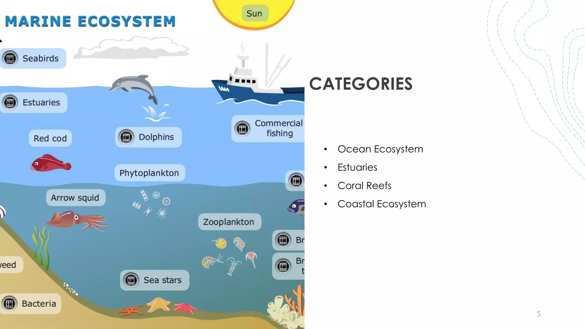 Aquatic Ecosystem | PDF