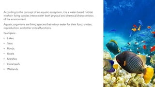 Aquatic Ecosystem | PDF