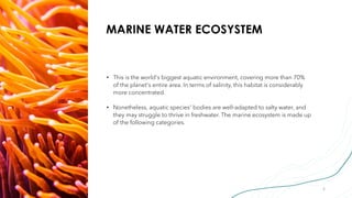 Aquatic Ecosystem | PDF