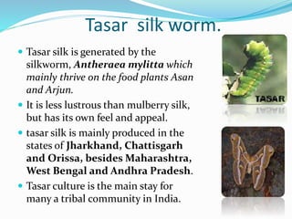 sericulture in india | PPTX