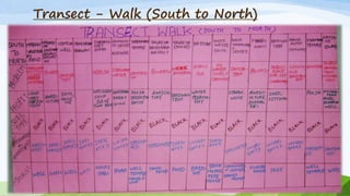 PRA Technique in shagunia_maph_village | PPTX