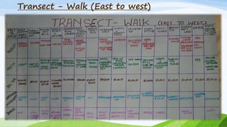 PRA Technique in shagunia_maph_village | PPTX