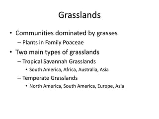 Prairies of the great plains | PPTX