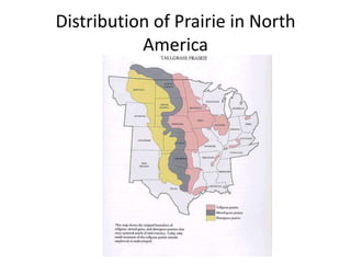 Prairies of the great plains | PPTX