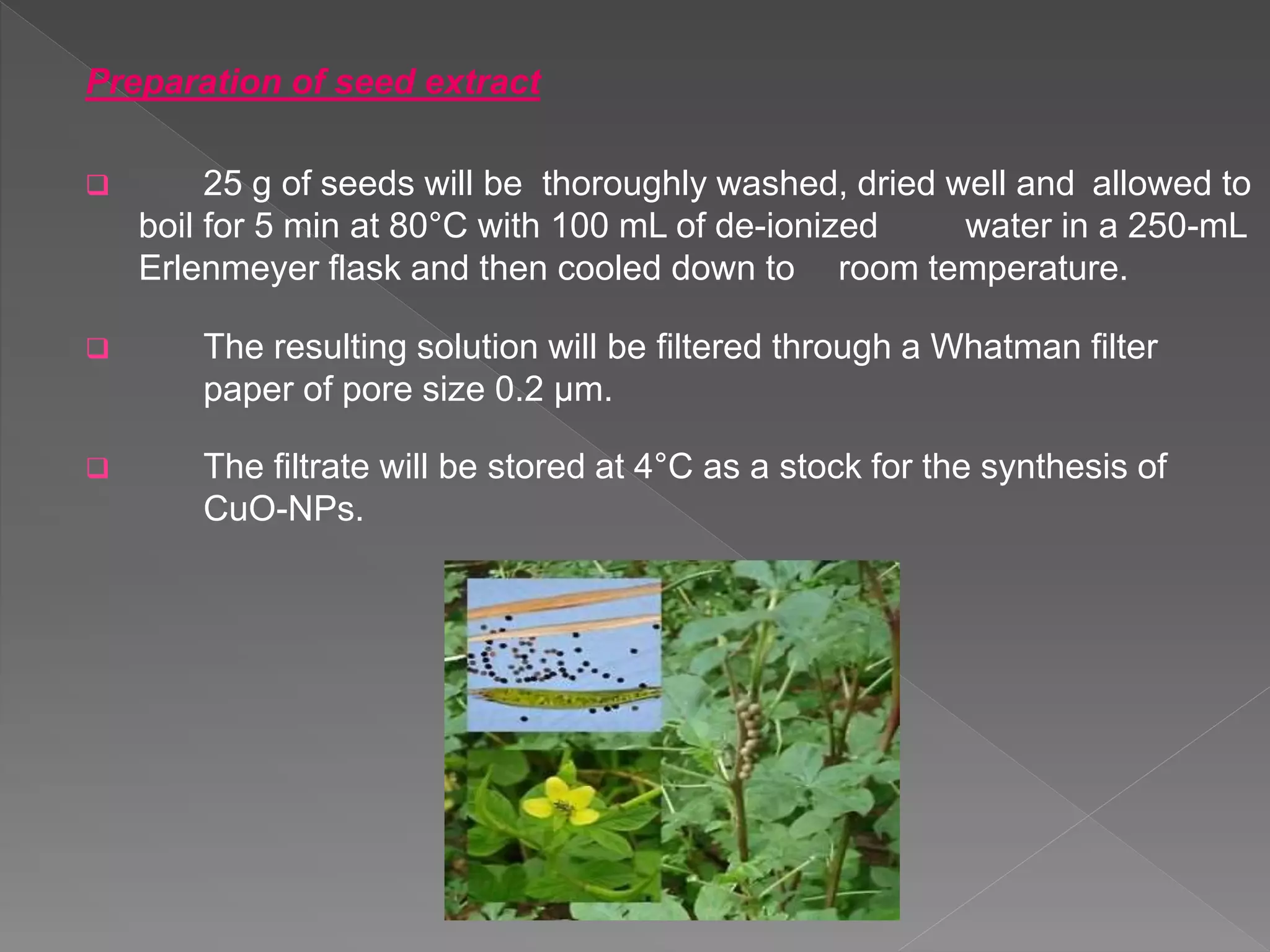 Praisy presentation final.13.07.2017