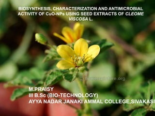 Praisy presentation final.13.07.2017