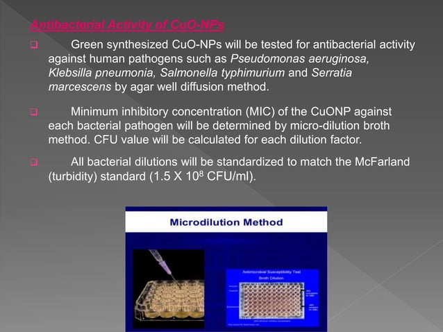 Praisy presentation final.13.07.2017