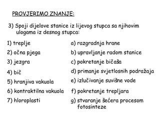 Praživotinje 3. razred srednje skole.ppt
