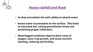 Excess of plant water and plant requirement of crop and methods of ...