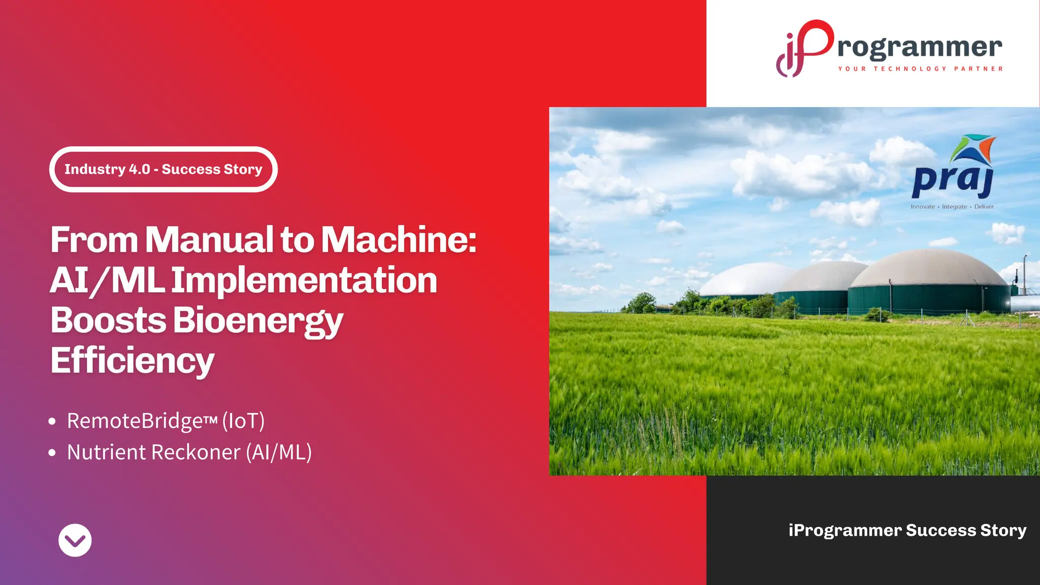 Revolutionizing Bioenergy: Transformative Solutions by iProgrammer for ...