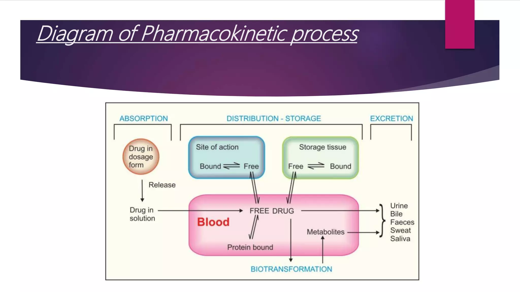 pharmacokinetics in drug development | PPTX