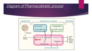 pharmacokinetics in drug development | PPTX