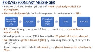 secondary messengers | PPTX