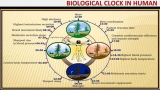 CHRONOPHARMACOLOGY | PPTX