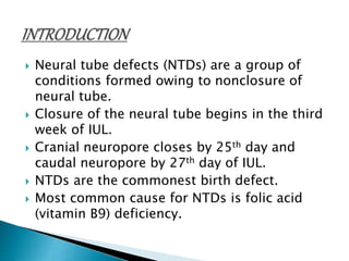 prajwalkjncxgfijfnsdiugnfdingfdunbfxiguifsdgfsl.pptx | Pregnancy ...