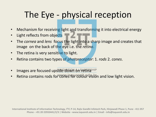 Human Computer Interaction - INPUT OUTPUT CHANNELS | PPTX | Eye and ...