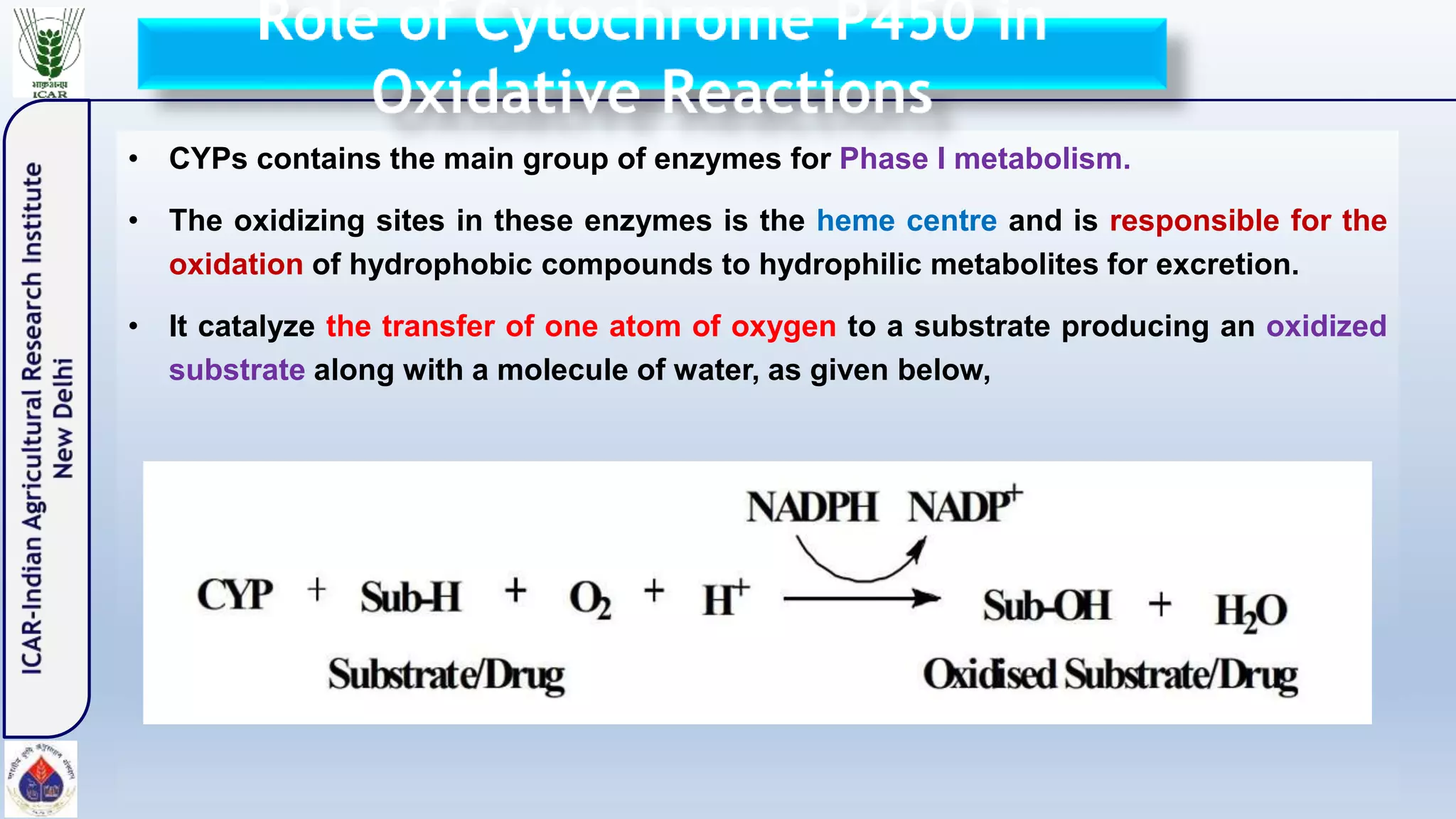 Insecticide Metabolism & Microsomal Oxidation.pptx