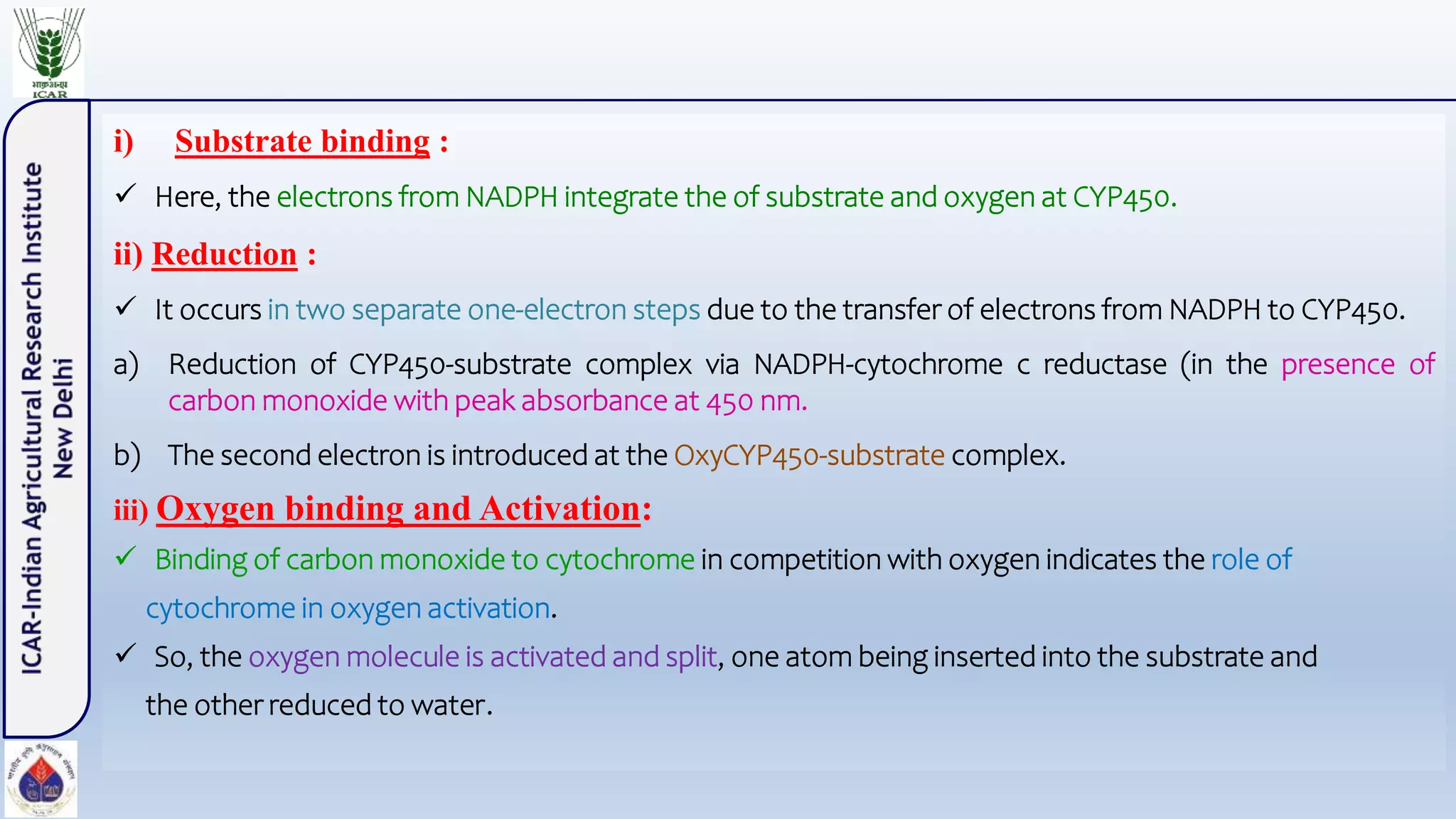 Insecticide Metabolism & Microsomal Oxidation.pptx
