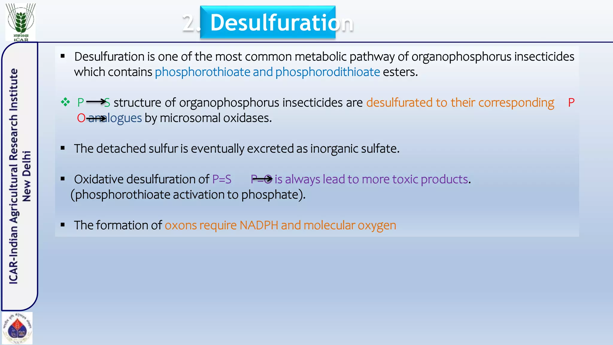 Insecticide Metabolism & Microsomal Oxidation.pptx