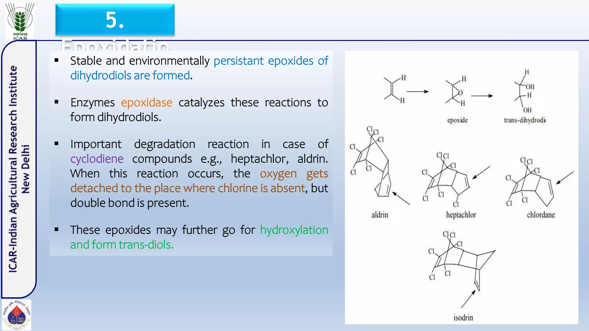 Insecticide Metabolism & Microsomal Oxidation.pptx