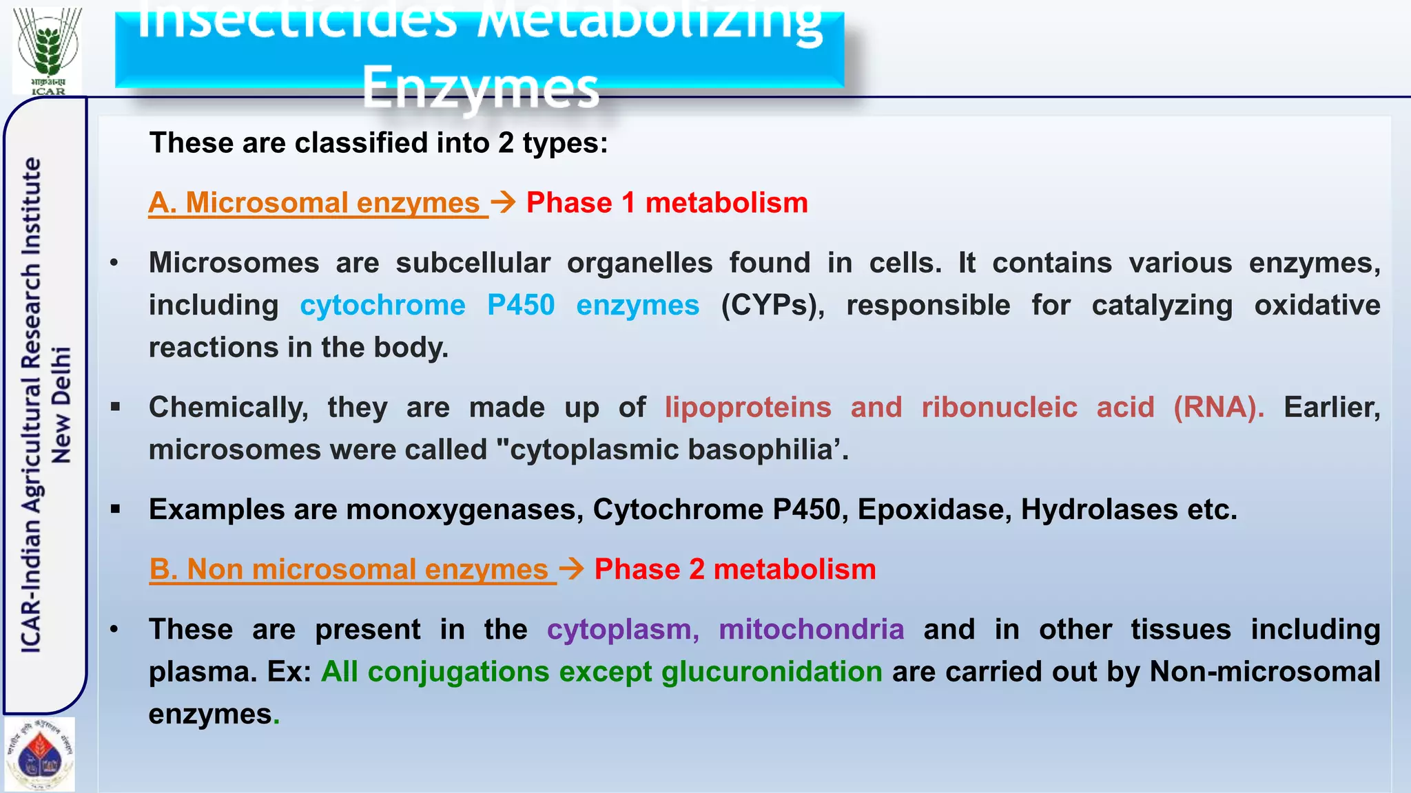 Insecticide Metabolism & Microsomal Oxidation.pptx