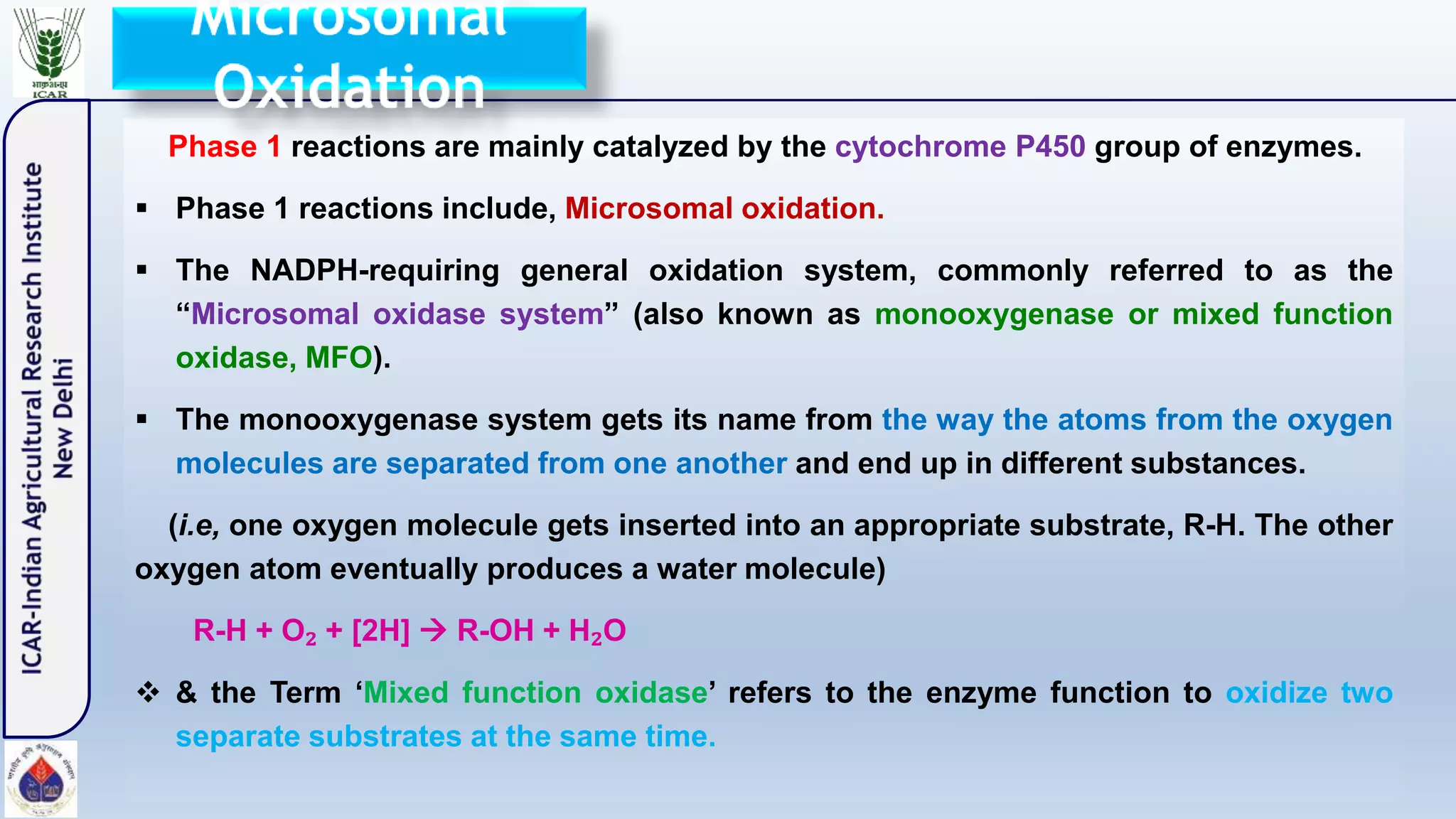 Insecticide Metabolism & Microsomal Oxidation.pptx