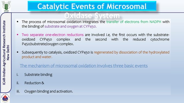 Insecticide Metabolism & Microsomal Oxidation.pptx